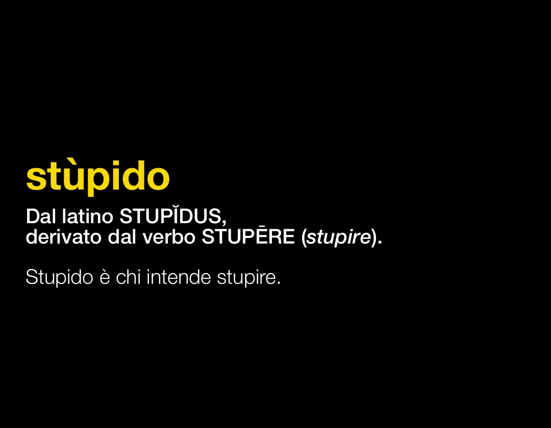 STUPIDOLOGIA - Stupido è chi lo stupido fa.